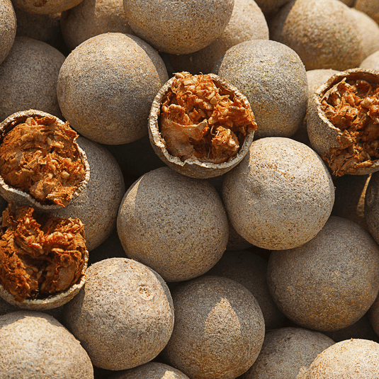 Ashok Chakra Nursery